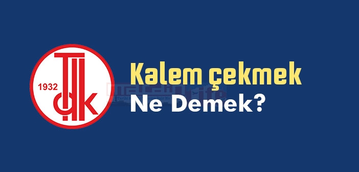 Kalem çekmek ne demek? Kalem çekmek sözünün anlamı nedir? Kalem çekmek ne demek? Kalem çekmek sözünün anlamı nedir?
