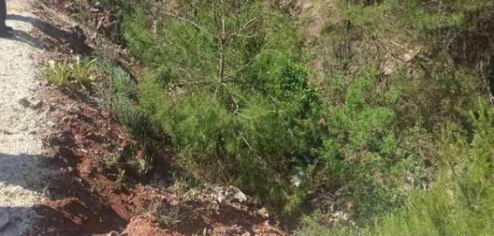 Askere gitmek için gün sayan ve 2 gündür aranan gençten acı haber Askere gitmek için gün sayan ve 2 gündür aranan gençten acı haber