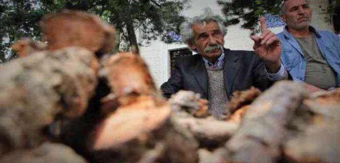 Elazığ’da şifa deposu olarak bilinen ışkın otu kökü tezgahtaki yerini aldı