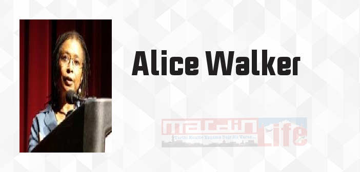Renklerden Moru - Alice Walker Kitap özeti, konusu ve incelemesi