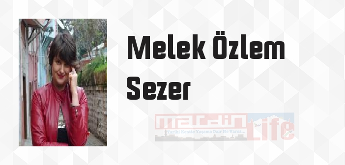 Masallar ve Toplumsal Cinsiyet - Melek Özlem Sezer Kitap özeti, konusu ve incelemesi