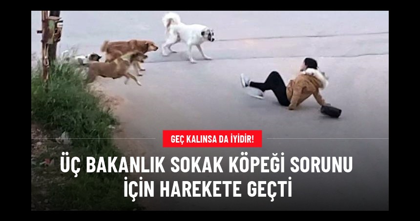 3 bakanlık harekete geçti! İŞTE yeni düzenleme...